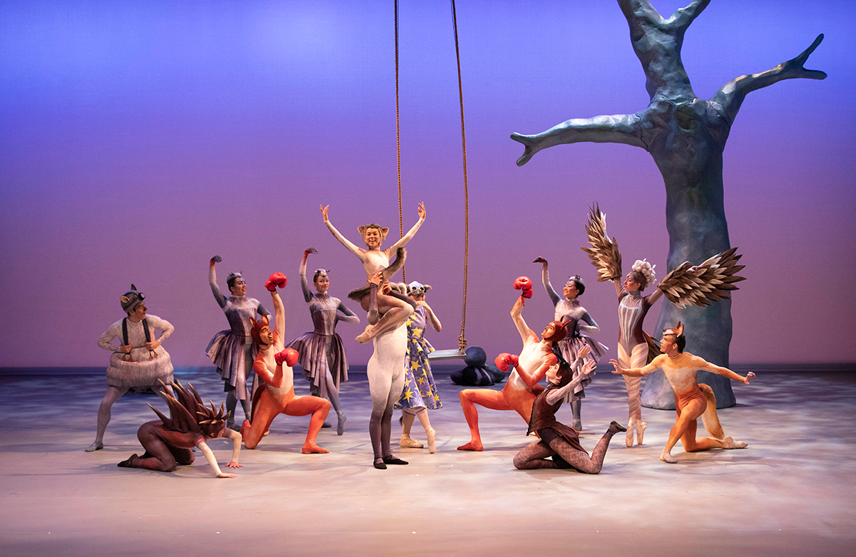 Showcase with Possum Magic! – The Australian Ballet School | ABN 18004852108 | CRICOS Provider ...